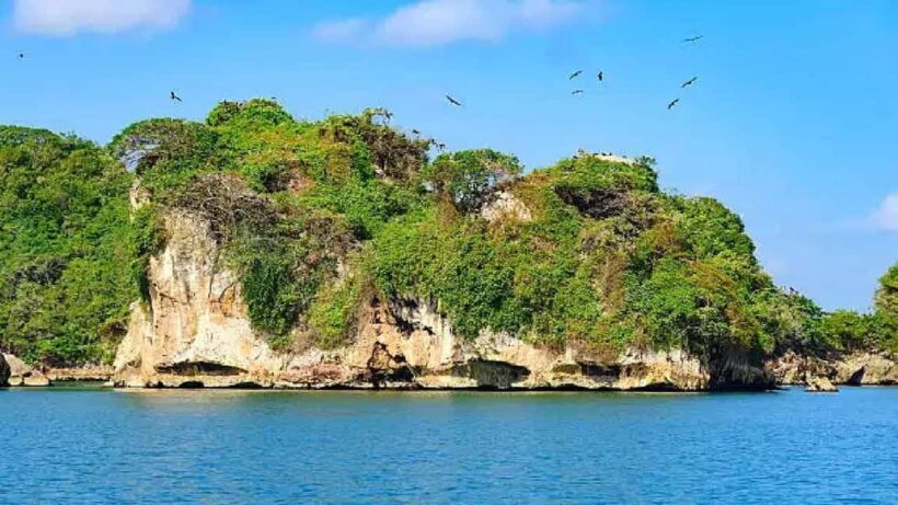 Private: Samaná Bay, El Limón, & Cayo Levantado Tour - The Sum Up