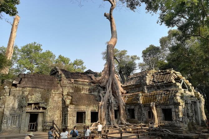 Private Sambor Prei Kuk Temple Tour - The Experience in Practice: What Travelers Say