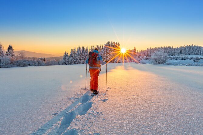 Private, Same Day Round Trip Shuttle Vancouver to Whistler - Who Will Love This Tour?