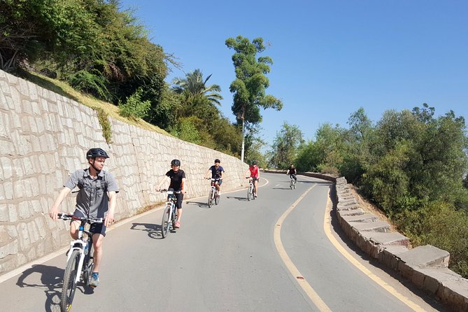 Private San Cristobal Hill & Metropolitan Park Santiago Bike Tour - Capturing the Views