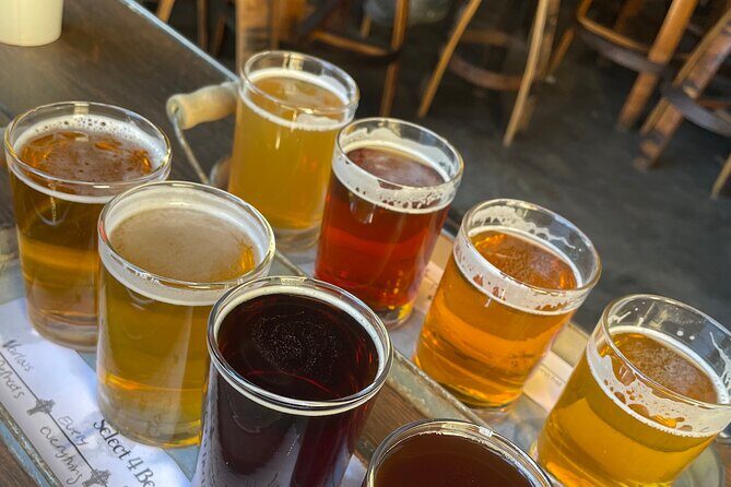 Private San Diego Beer Tasting Tour - Introduction