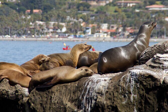 Private San Diego Seaside Tour From Orange County - FAQ