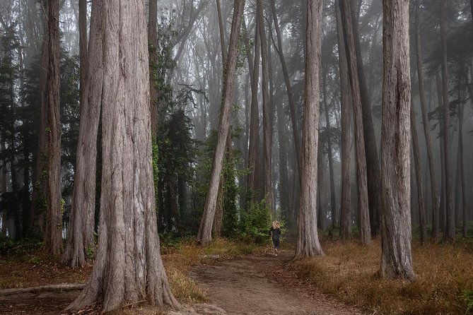 Private San Francisco Sunset Photography Experience - Final Thoughts