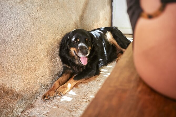 Private Sandal Making in Palma De Mallorca - Getting There