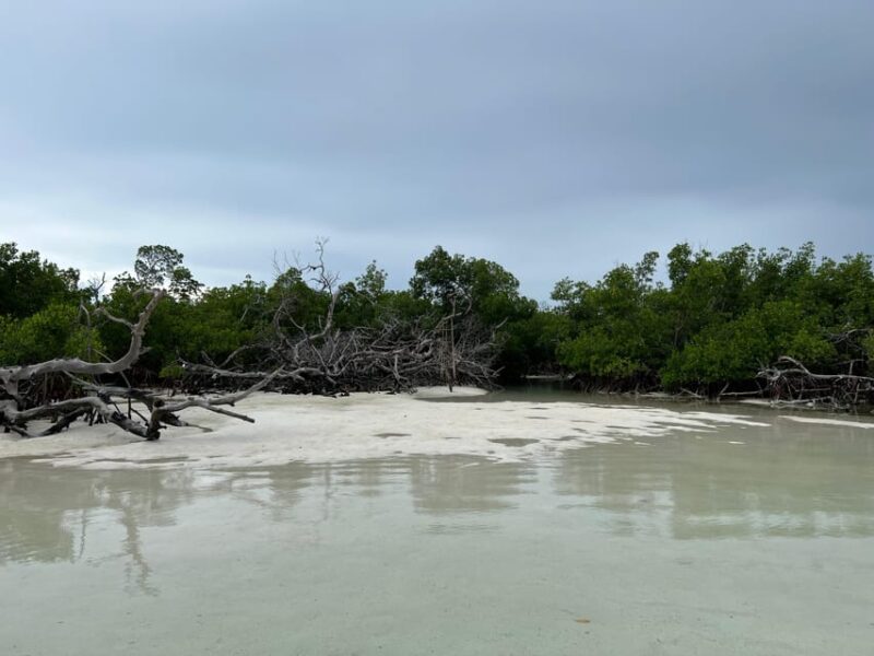Private Sandbar Adventure in the Key West Backcountry - FAQ