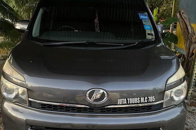 Private Sangsters Int. Airport Pickup to Montego Bay Resorts - Practical Details: Booking, Meeting Points, and Flexibility