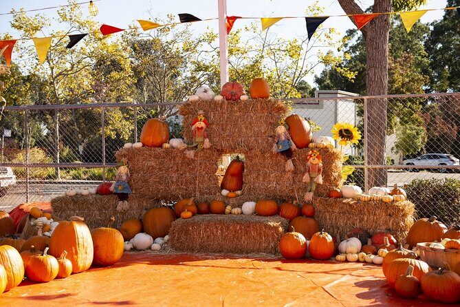 Private Santa Clara Halloween Family Fun Tour - What Makes This Tour Stand Out?