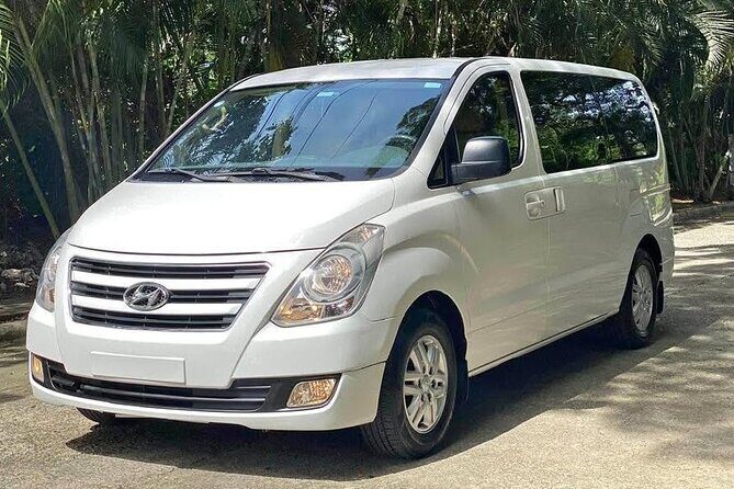 Private Santiago Airport Transfer to Puerto Plata Hotels - Who Is This Transfer Best For?