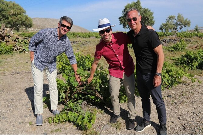 Private Santorini Wine Adventure in 3 Wineries With 12 Tastings - Winery 2: Behind the Scenes