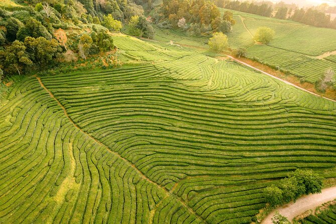 Private 'Sao Miguel Highlights' Tour for groups up to 8 - Final Thoughts