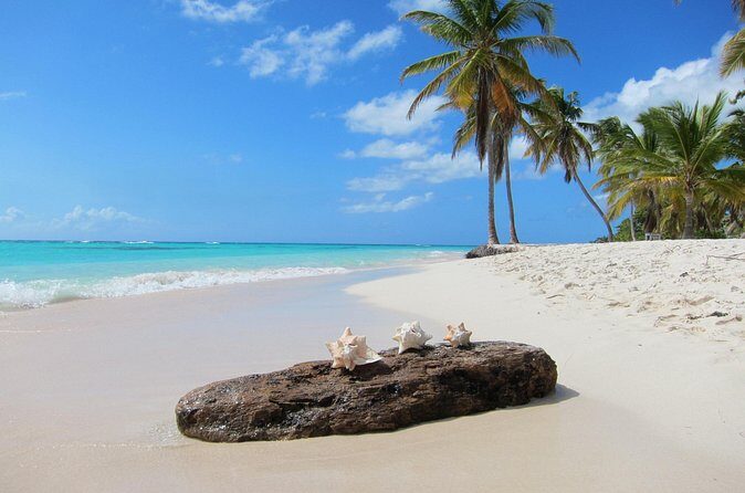 Private Saona Island Catamaran Tour from Punta Cana - The Sum Up