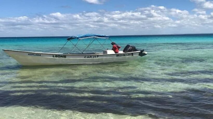 Private: Saona Island Day Trip with Lunch & Cruise - Key Points