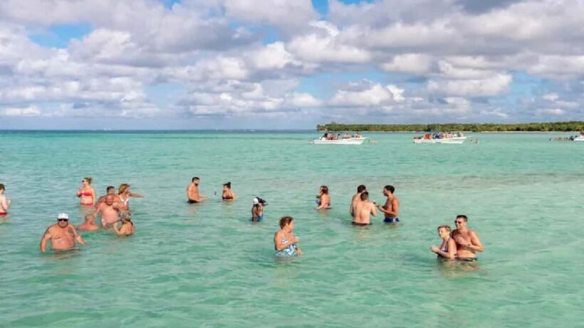 Private: Saona Island Day Trip with Lunch & Cruise - The Sum Up