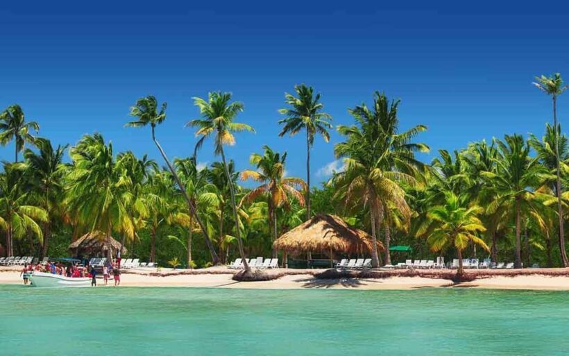 Private: Saona Island Full-Day Escape with Meals & Beverages - Practical Tips for Your Trip