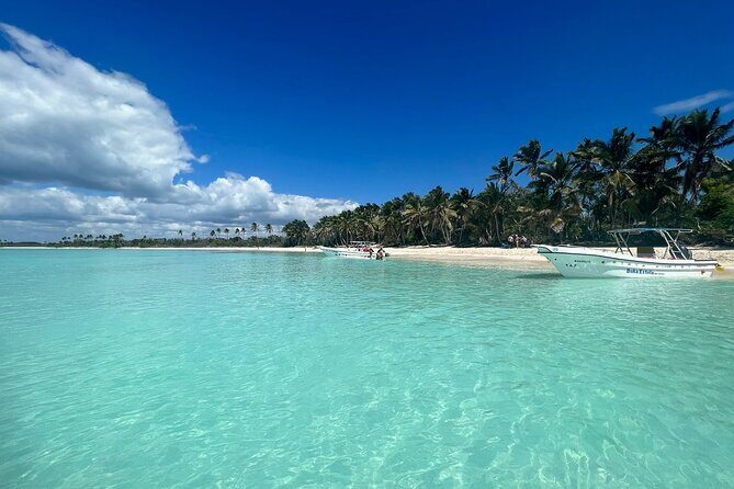 Private Saône Vip DE 1 to 8 Pax - What To Expect from the Saône Island Private Tour