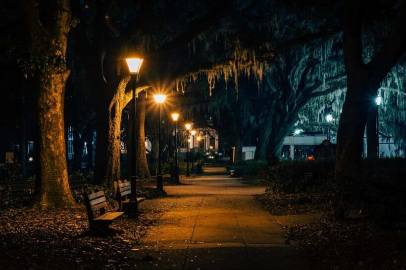 Private Savannah Spirits Tour: Echoes of the Past - A Deep Dive into the Savannah Spirits: Echoes of the Past Tour