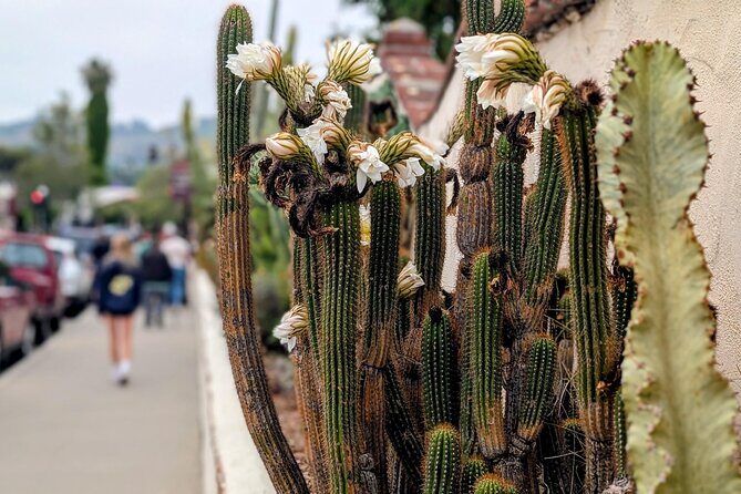 Private Scavenger Hunt in San Juan Capistrano Tour - A Close Look at the Experience