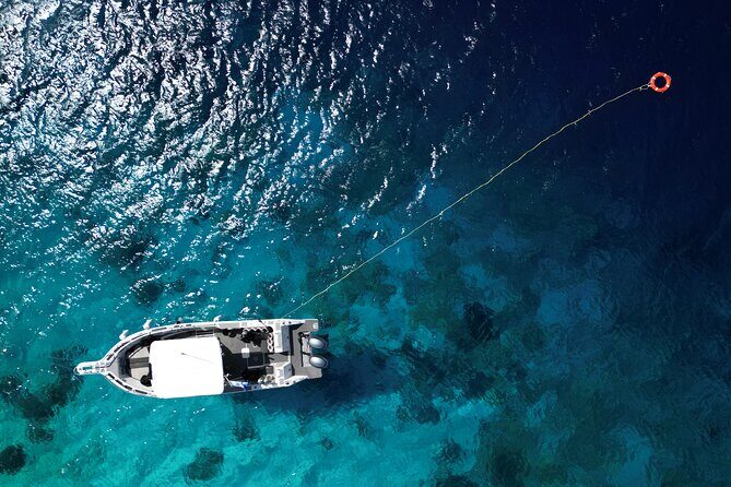 Private Scuba Diving Charter in Bonaire Marine Park - What to Expect from a Private Bonaire Dive Charter