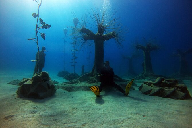 Private Scuba Diving Experience in Cyprus - The Sum Up