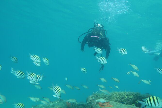 Private Scuba Diving Expert-Led Excursion Training with Tour - FAQs