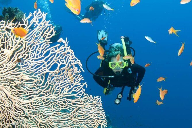 Private Scuba Diving Initiation with Licensed Guide - The Sum Up