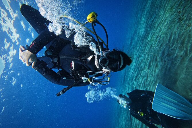 Private Scubadiving With Professional Instructor, Photos Included - Pricing and Booking Information