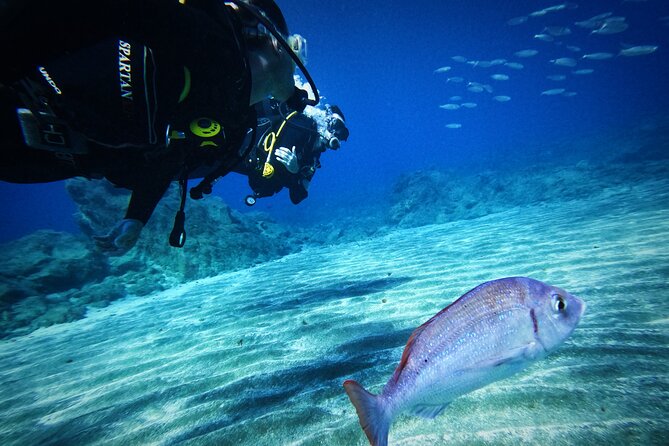 Private Scubadiving With Professional Instructor, Photos Included - Capturing Memories With Photos and Videos