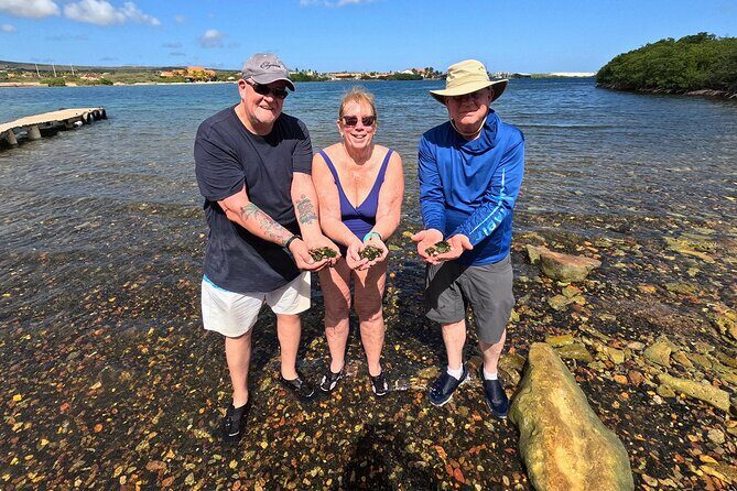 Private Sea Glass Island Kayak Morning + Transfer - What You Get