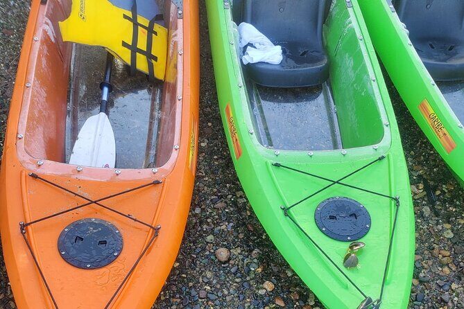 Private Sea Glass Island Kayak Morning + Transfer - The Bottom Line