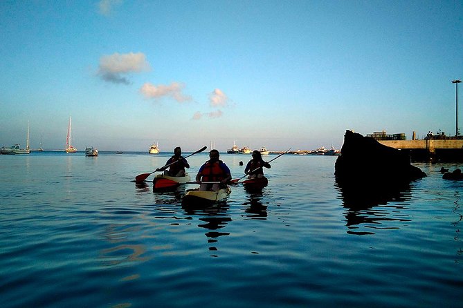 Private Sea Kayaking in Cascais Bay, Lisbon: Glide & Explore! - Highlights and Inclusions: Uncover the Bays Wonders
