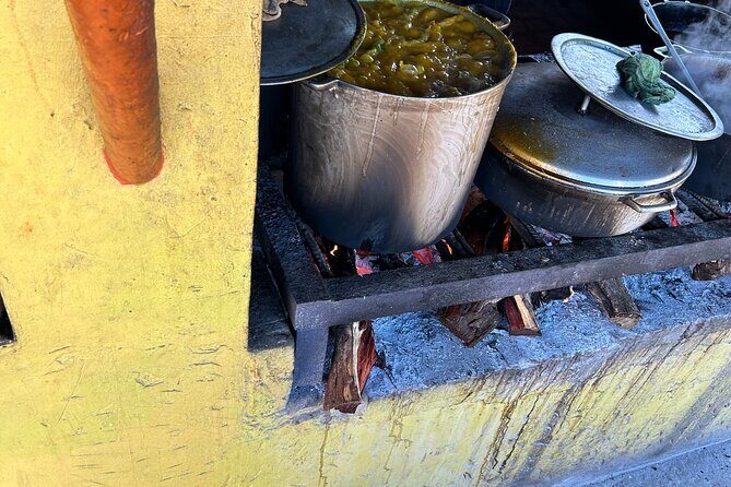 Private Seafood Tour and Floyds Pelican Bar or Black River Safari - A Taste of Jamaica: Whats Included and What to Expect