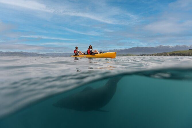 Private Seal Kayaking and Wildlife Tour in Kaikoura - What to Expect from This Kaikoura Wildlife Kayaking Tour