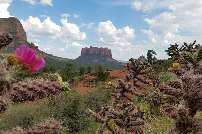 Private Sedona Day Trip from Phoenix or Scottsdale - What Travelers Say
