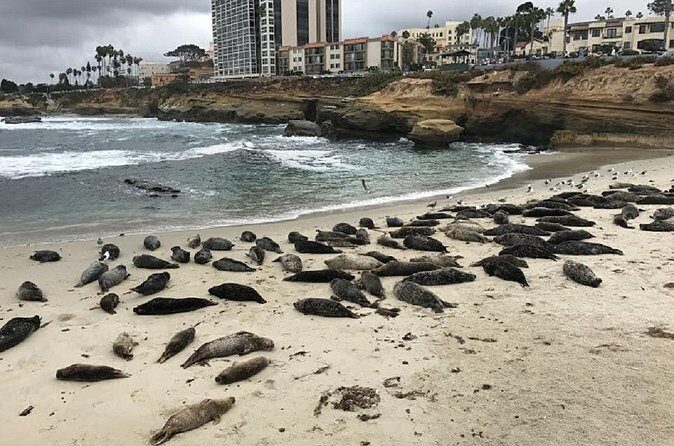 Private Segway Experience Through La Jolla - FAQ