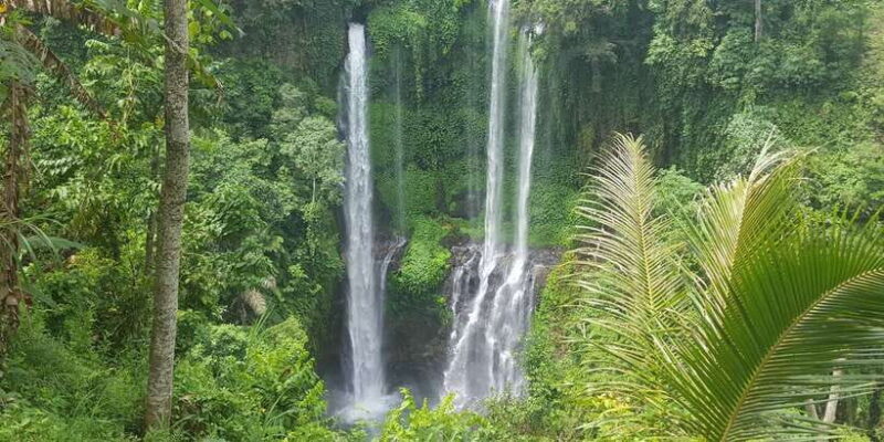 Private Sekumpul Waterfall Hiking Tour - The Experience from the Traveler’s Perspective