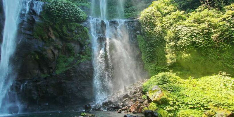 Private Sekumpul Waterfall Hiking Tour - Who Should Consider This Tour?