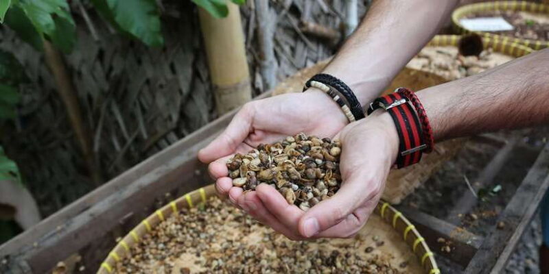 Private Sekumpul Waterfall Hiking Tour - The Sum Up