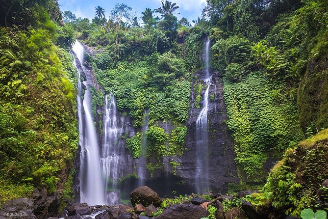 Private Sekumpul Waterfalls Trekking Tour - Who Should Consider This Tour?