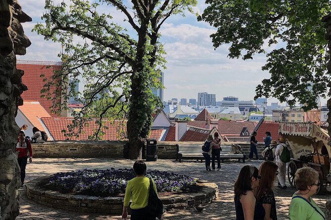 Private Self-Guided Audio Walking Tour in Tallinn Old Town - Summary of Reviews