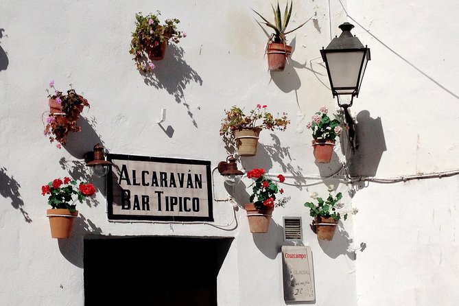 Private Seville Transfer to Malaga Including Visit to Ronda - Inclusions and Options