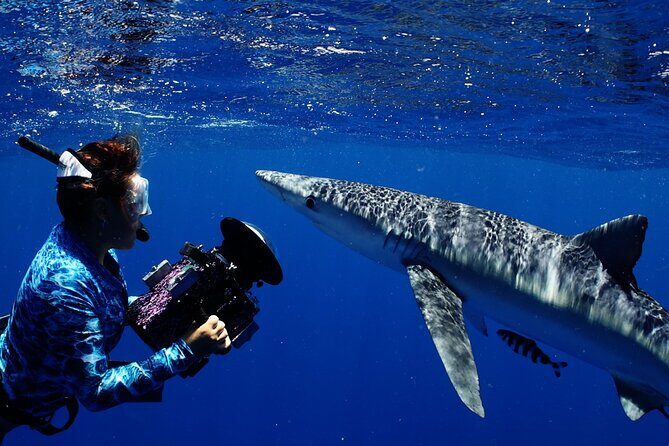 Private Shark Dive, Oahu, Hawaii (6 Guest) - Practical Tips for Participants