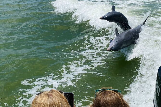 Private Shelling and Dolphin Excursion - The Value of Guided Knowledge and Natural Encounters