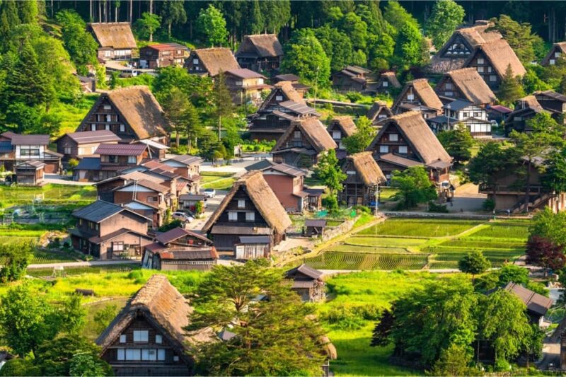 Private Shirakawago & Takayama Tour With Pickup and Drop-Off - What to Expect