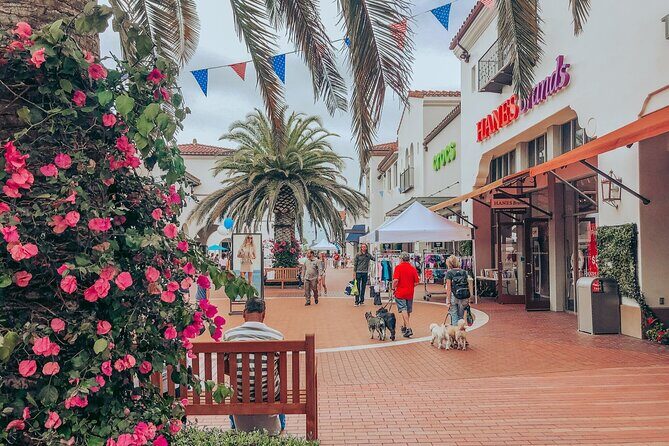 Private Shopping Tour from San Diego to Outlets at San Clemente - A Closer Look at the Itinerary and Experience