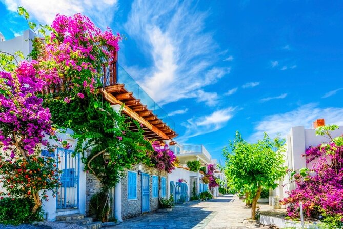 Private Shopping Tour in Bodrum city - Who This Tour Is Perfect For