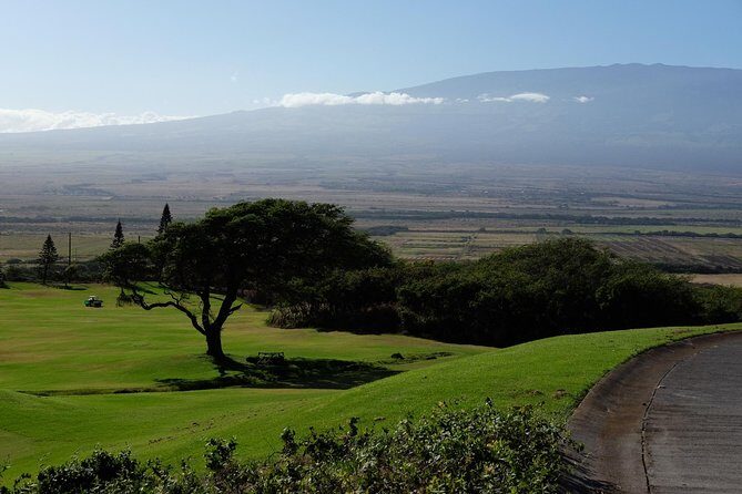 Private Shore Excursion: Best Highlights of Maui - Authentic Feedback from Travelers