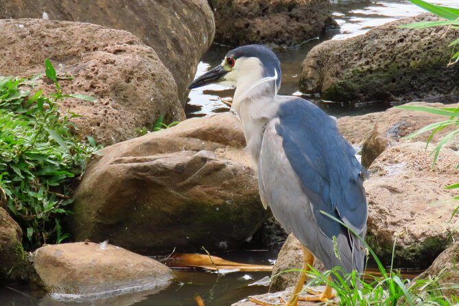 Private Shore Excursion: Best Highlights of Maui - Who Will Love This Tour?
