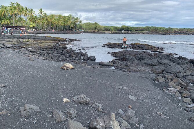 PRIVATE Shore Excursion - 'Best of Hilo and Hamakua coast - Exploring the Richness of the Hilo and Hamakua Coast