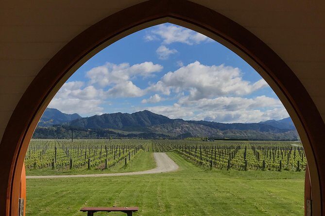 Private Shore Excursion: Explore Marlborough from Picton - Key Points