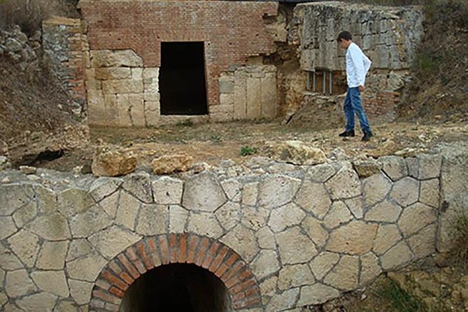 Private Shore Excursion from Civitavecchia Port to Etruscan Countryside - Who Would Love This Tour?